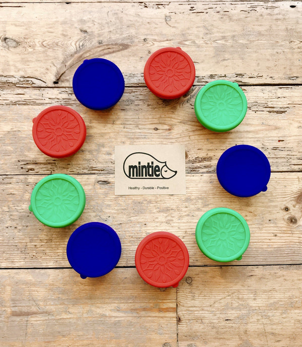 Mini Snack Pot single – Mintie Lunchboxes